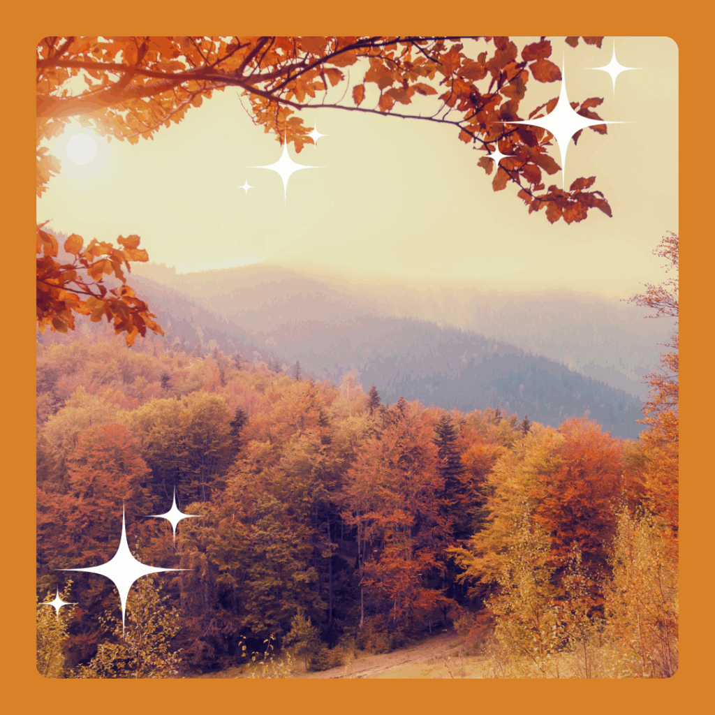 Duft des Monats September: Herbstgold mit Cassia, Orange & Litsea ...